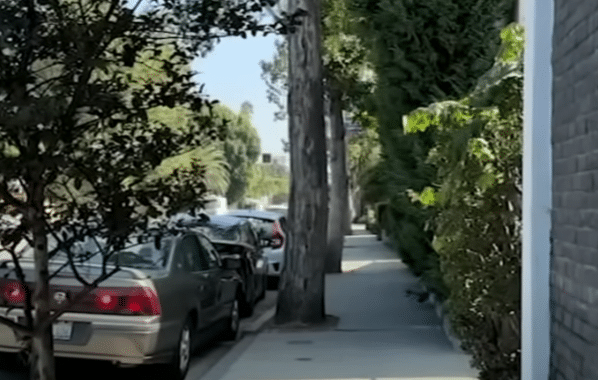 Husband Charged After Scottish Woman Dismembered - The Republic Gazette